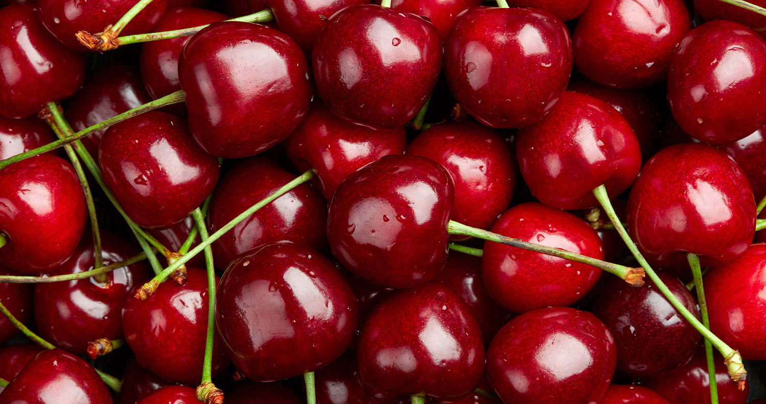 Sour Cherry Products | Sour Cherry Juice Concentrates | Muhtaroğlu Holding